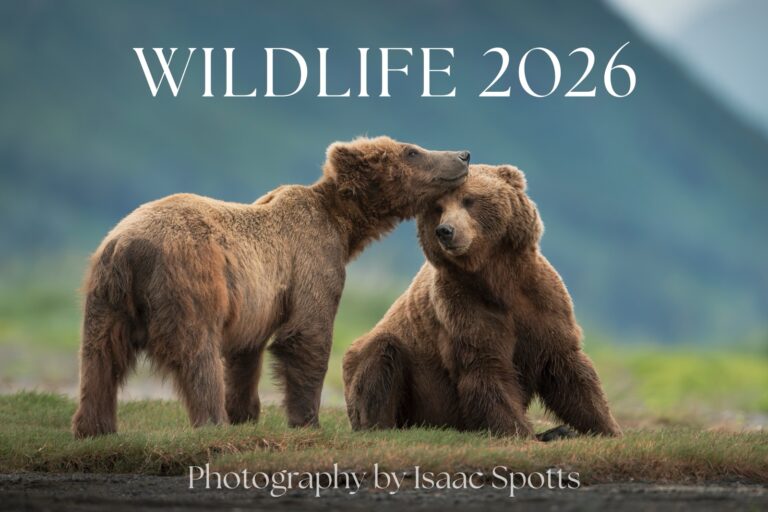 Isaac Spotts Photography | Award-Winning Wildlife Photographer